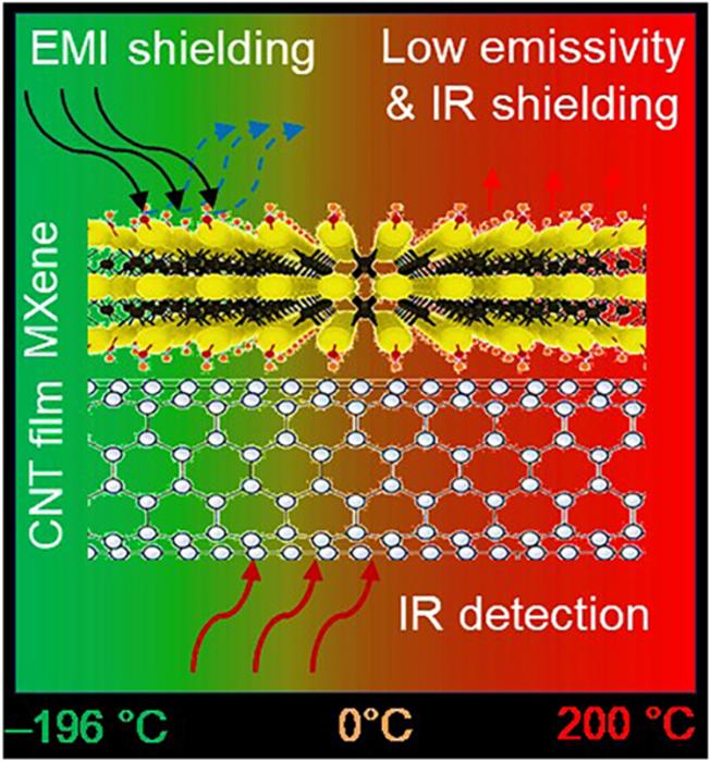 TOC abstract [IMAGE] | EurekAlert! Science News Releases