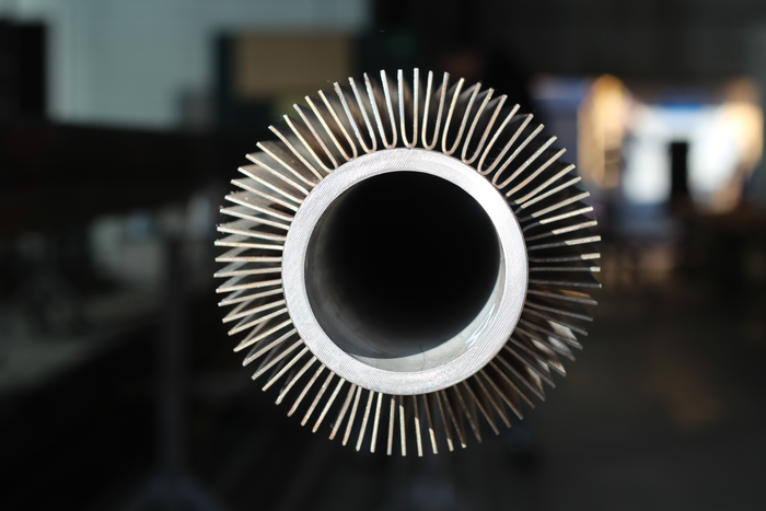 Welded ribs [IMAGE] | EurekAlert! Science News Releases