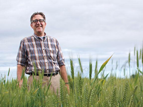 WSU Wheat Breeder Stephen Jone [IMAGE] | EurekAlert! Science News Releases
