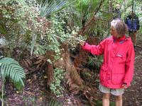 A Biodiversity Breakdown in New Zealand (4 of | EurekAlert!