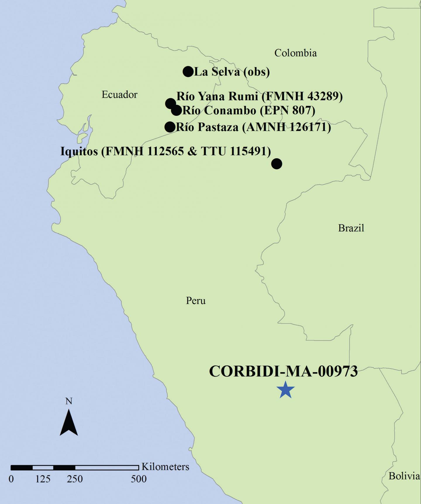 Porcupines can't jump: Camera traps in the fo | EurekAlert!
