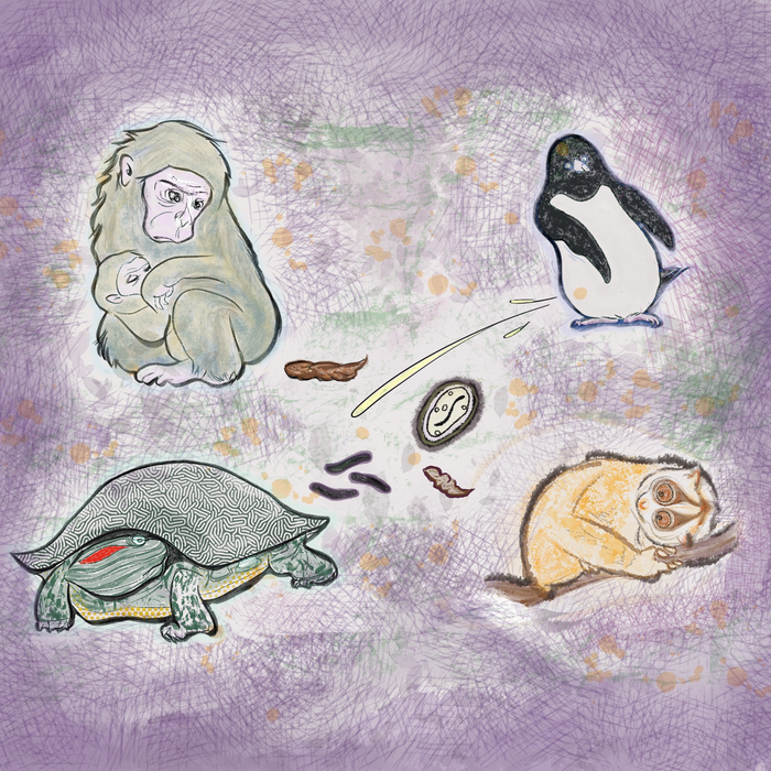 Adaptive system of disgust [IMAGE] | EurekAlert! Science News Releases