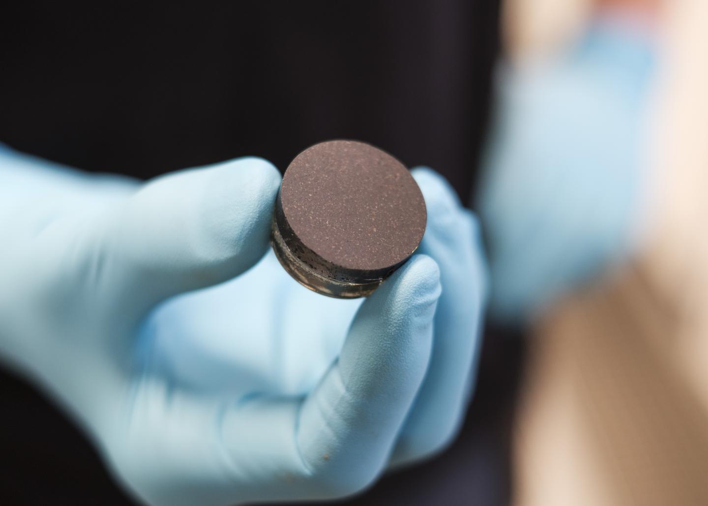 Grain Mount [IMAGE] | EurekAlert! Science News Releases