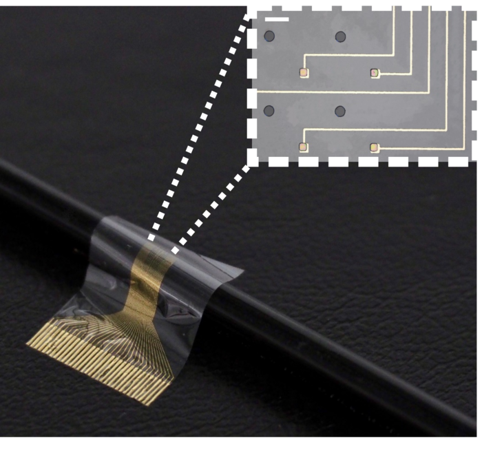 ‘Biohybrid’ device could resto [IMAGE] | EurekAlert! Science News Releases