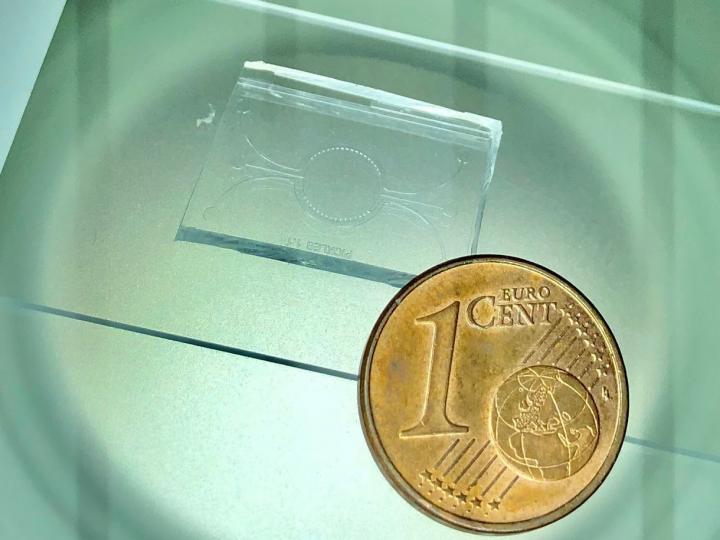 Colorectal Tumor-on-a-Chip Helps Evaluate Nan | EurekAlert!
