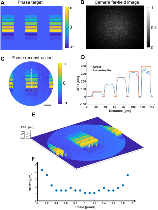 Figure 3 | Quantitative phase [IMAGE] | EurekAlert! Science News Releases