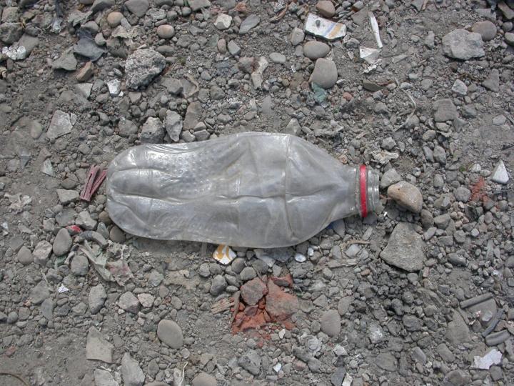 Human impact has created a 'plastic planet,' | EurekAlert!