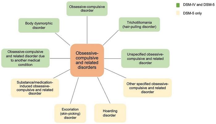 New insights into OCD: Understanding the role | EurekAlert!
