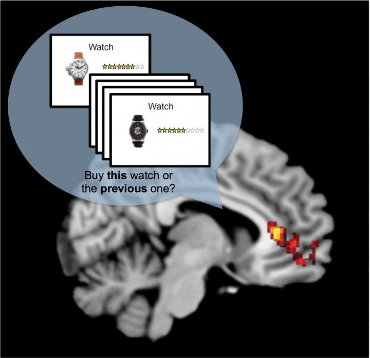 Brain Task [IMAGE] | EurekAlert! Science News Releases