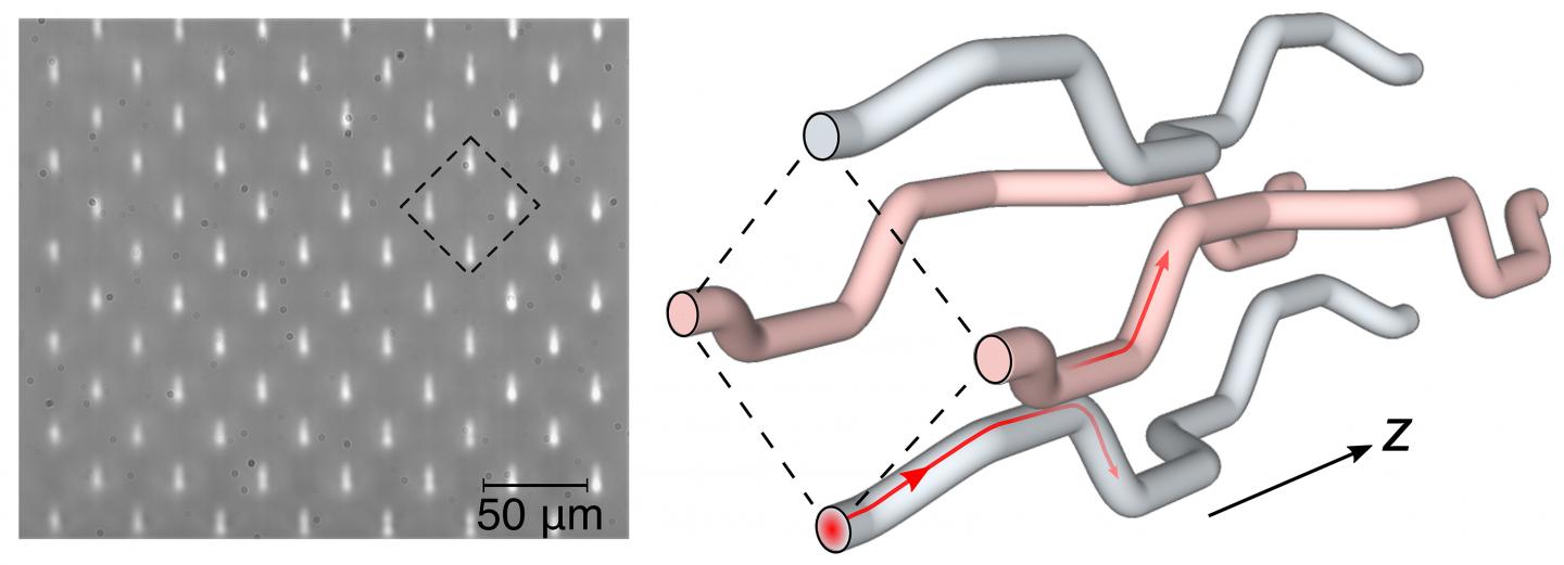 Waveguide Array [IMAGE] | EurekAlert! Science News Releases