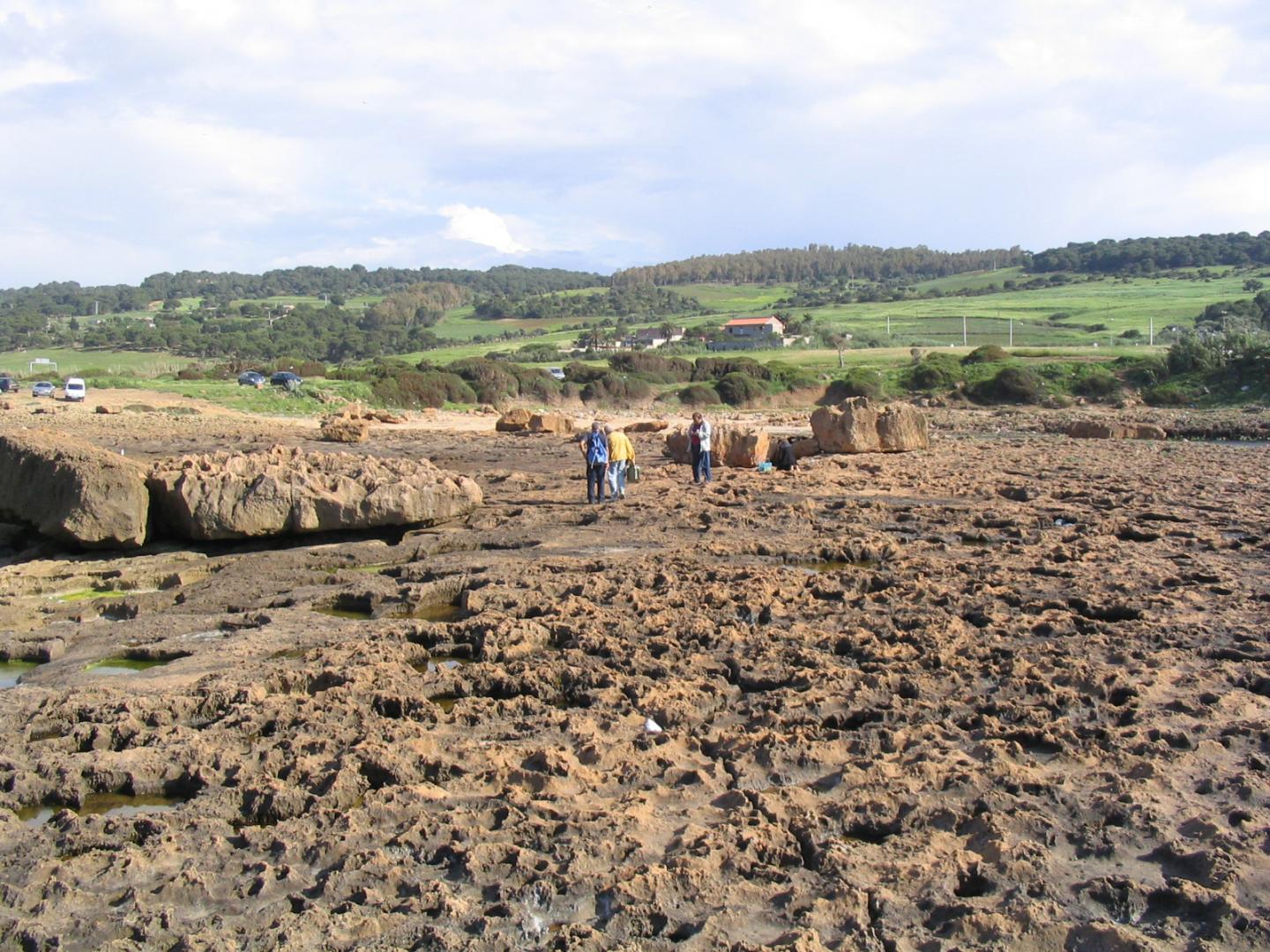 Tsunamis or Storms? Clarifying the History of | EurekAlert!