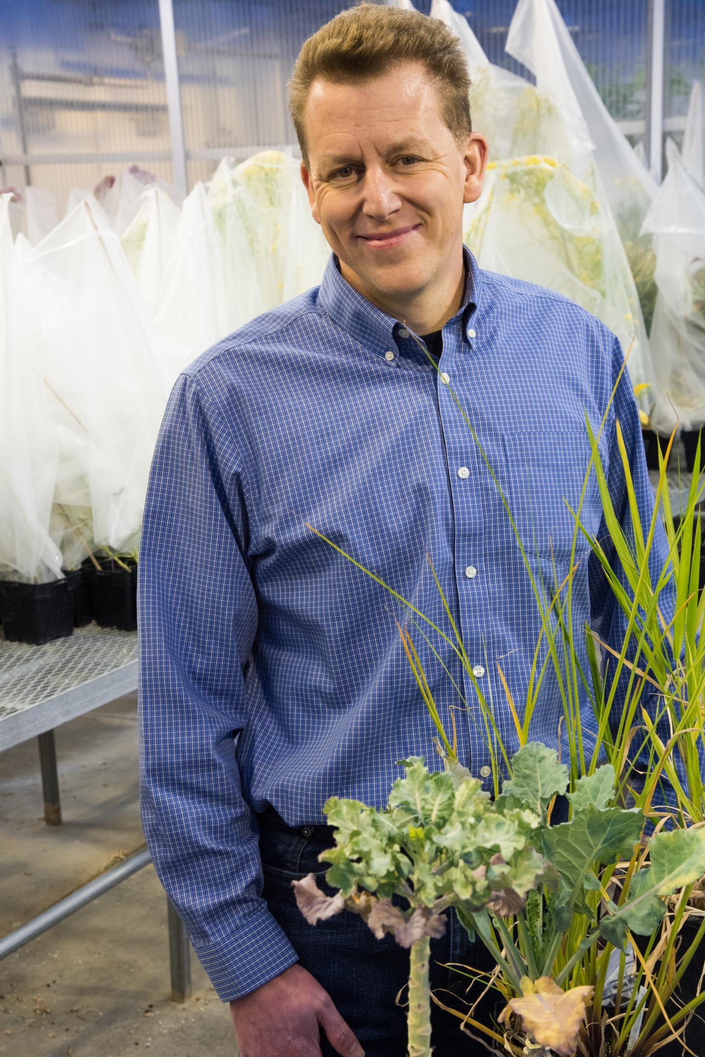 Chris Pires, University of Mis [IMAGE] | EurekAlert! Science News Releases