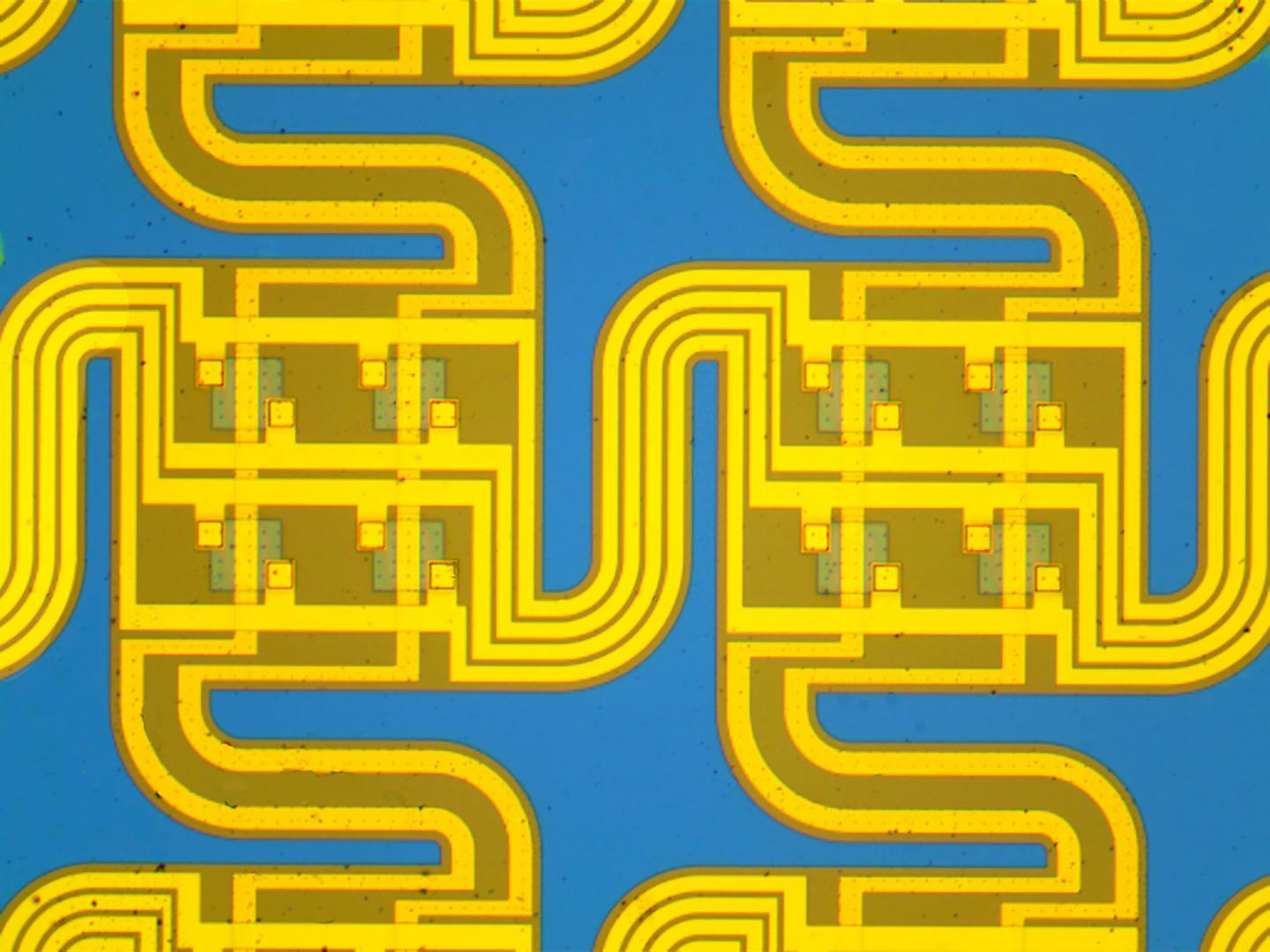 Wearable, Stretchable Memory Device Monitors | EurekAlert!