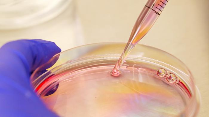 NIH-funded research [IMAGE] | EurekAlert! Science News Releases