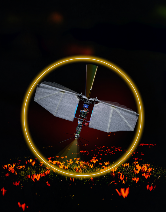 How flying insects and drones can discern up | EurekAlert!