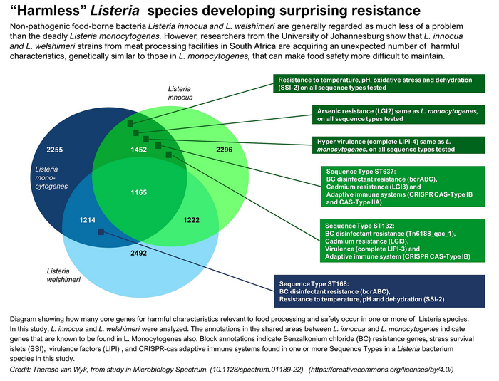 “Harmless” Listeria species de [IMAGE] | EurekAlert! Science News Releases