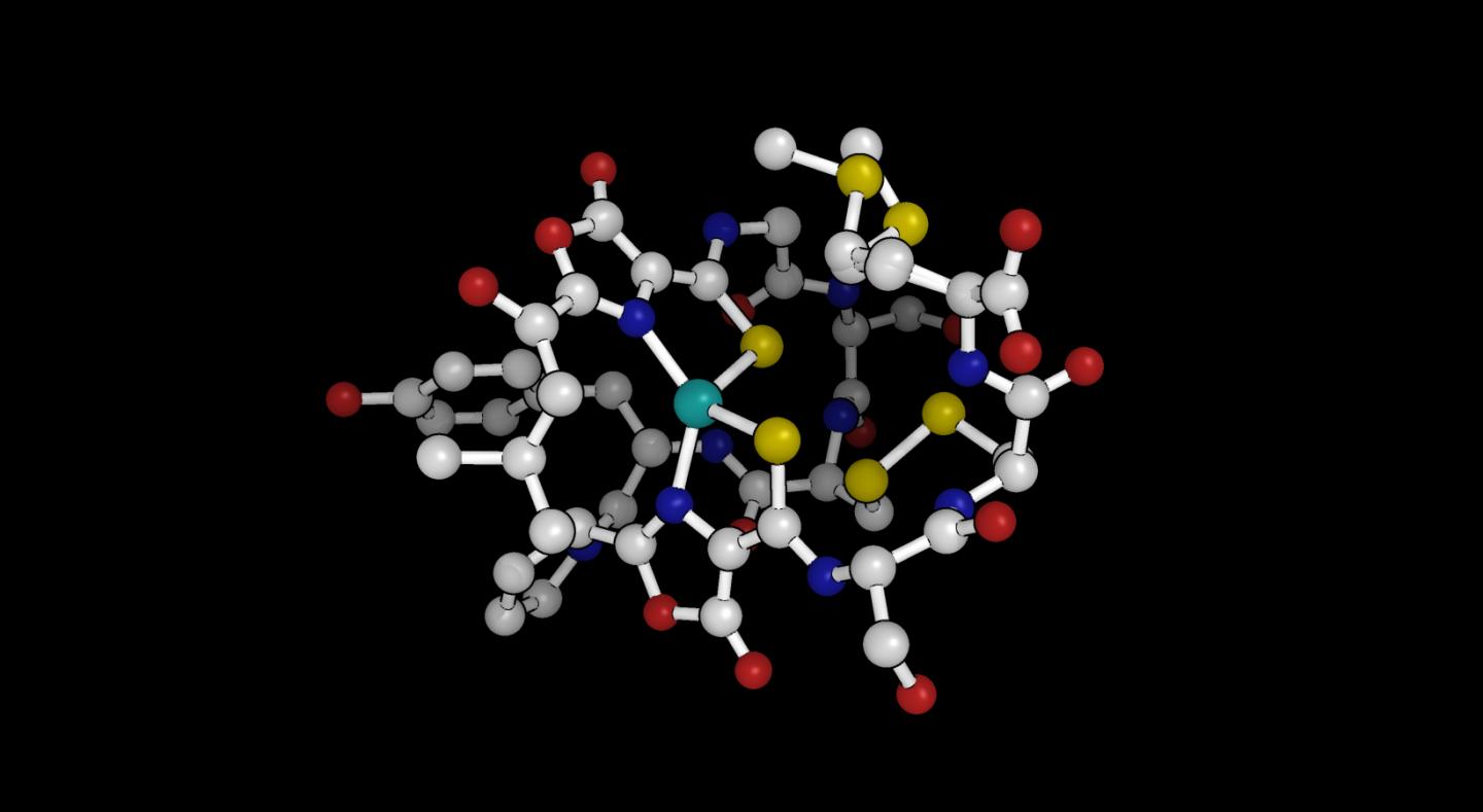 Methanobactin Structure [IMAGE] | EurekAlert! Science News Releases