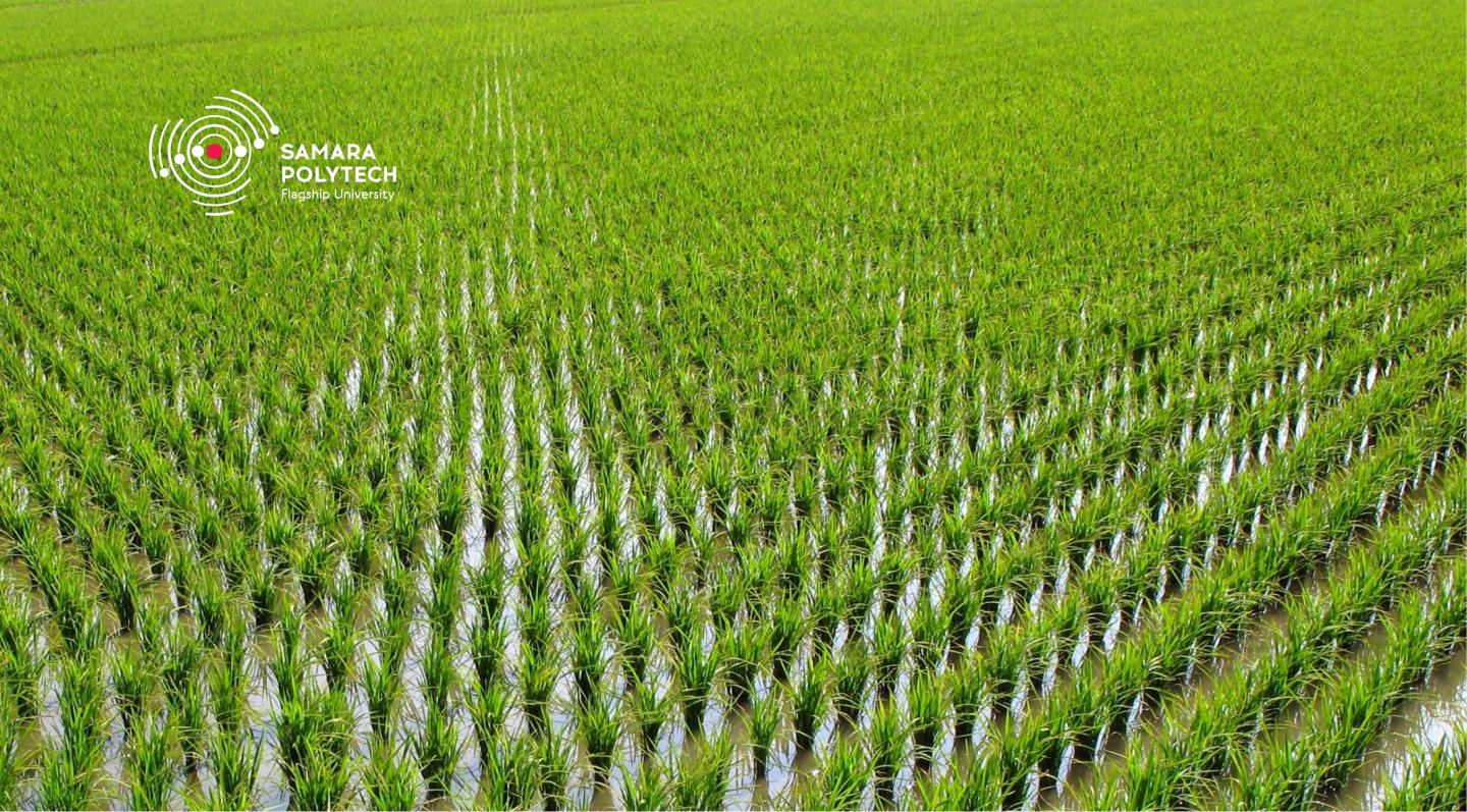 Crop Fields [IMAGE] | EurekAlert! Science News Releases