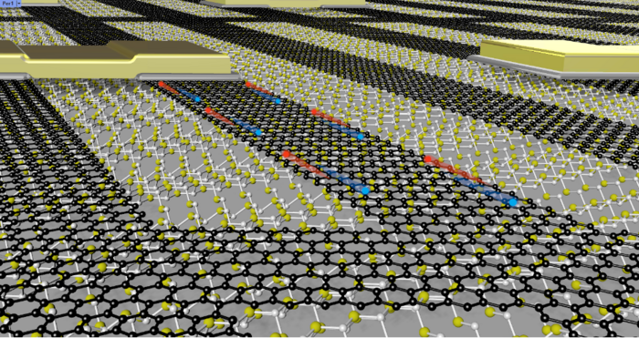 Graphene network (black atoms) [IMAGE] | EurekAlert! Science News Releases