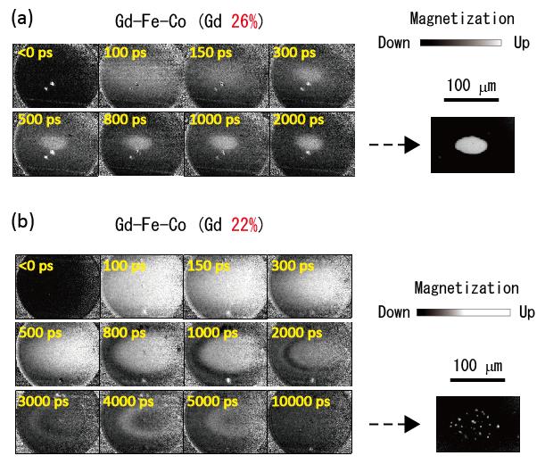 Magnetic Images [IMAGE] | EurekAlert! Science News Releases