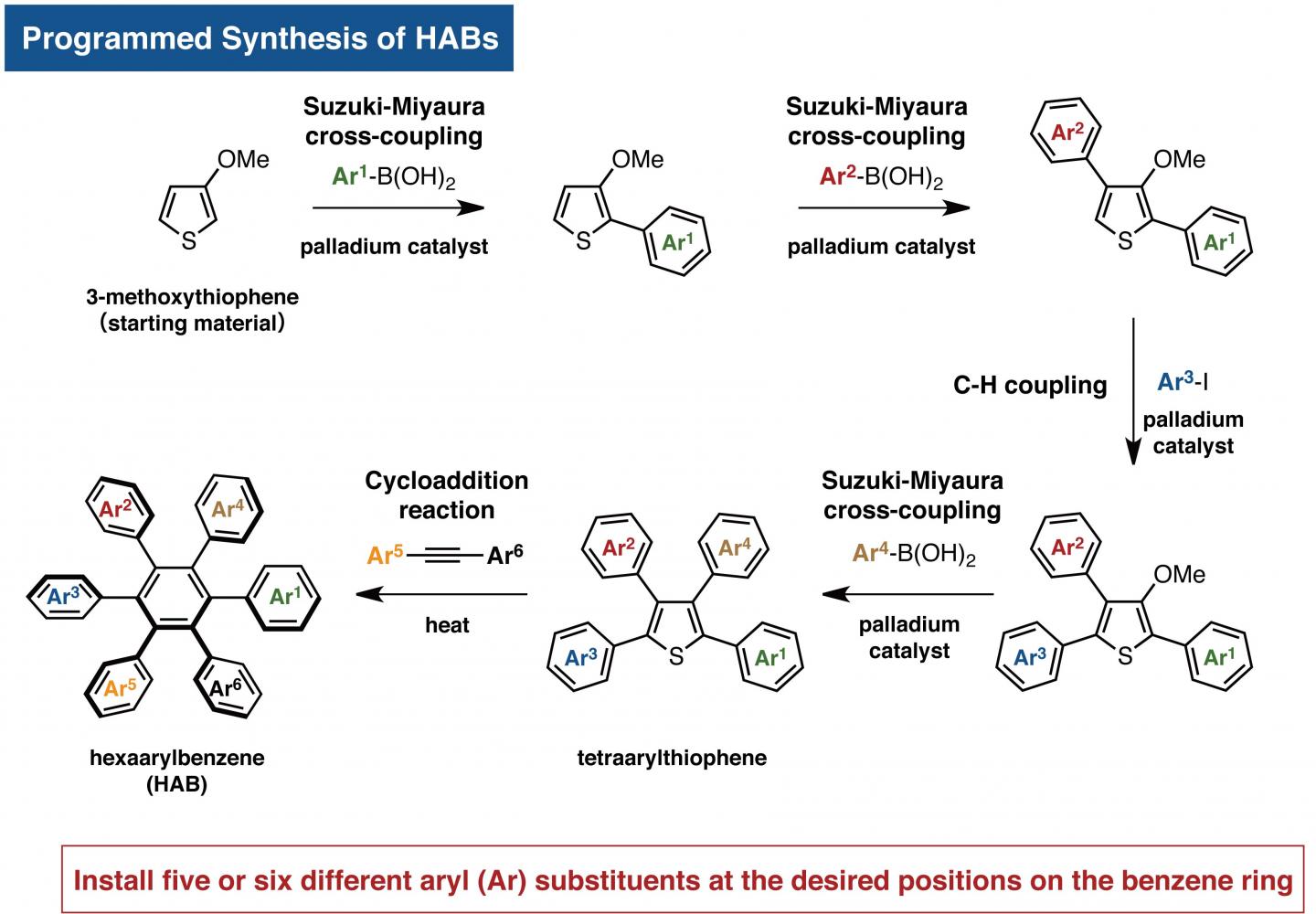 Synthetic Scheme for the Progr [IMAGE] | EurekAlert! Science News Releases