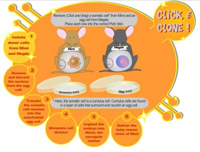 Genetics Education Web Sites A [IMAGE] | EurekAlert! Science News Releases