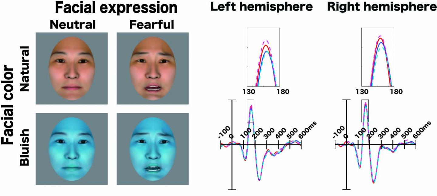 Subliminal effect of facial color on fearful | EurekAlert!