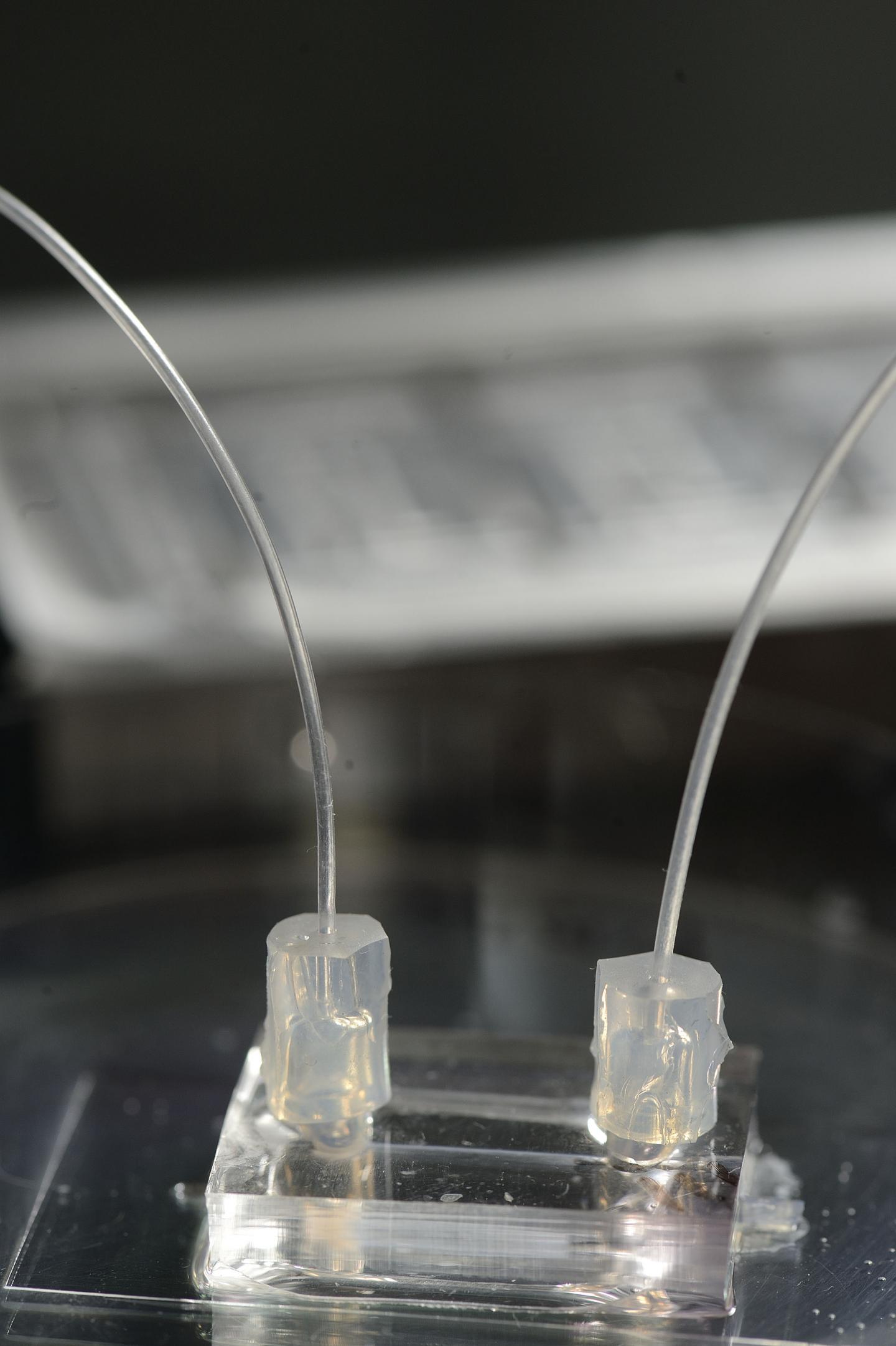 Lab Chip Closeup [IMAGE] | EurekAlert! Science News Releases