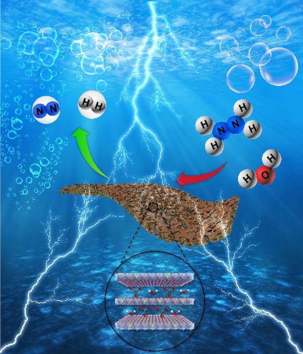 Image [image] Eurekalert Science News Releases