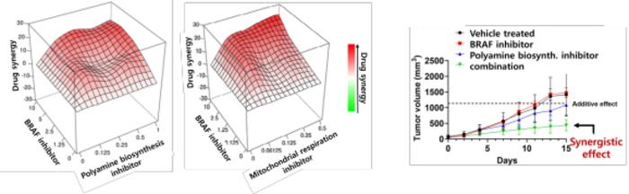 Synergistic Effect of Anticanc [IMAGE] | EurekAlert! Science News Releases