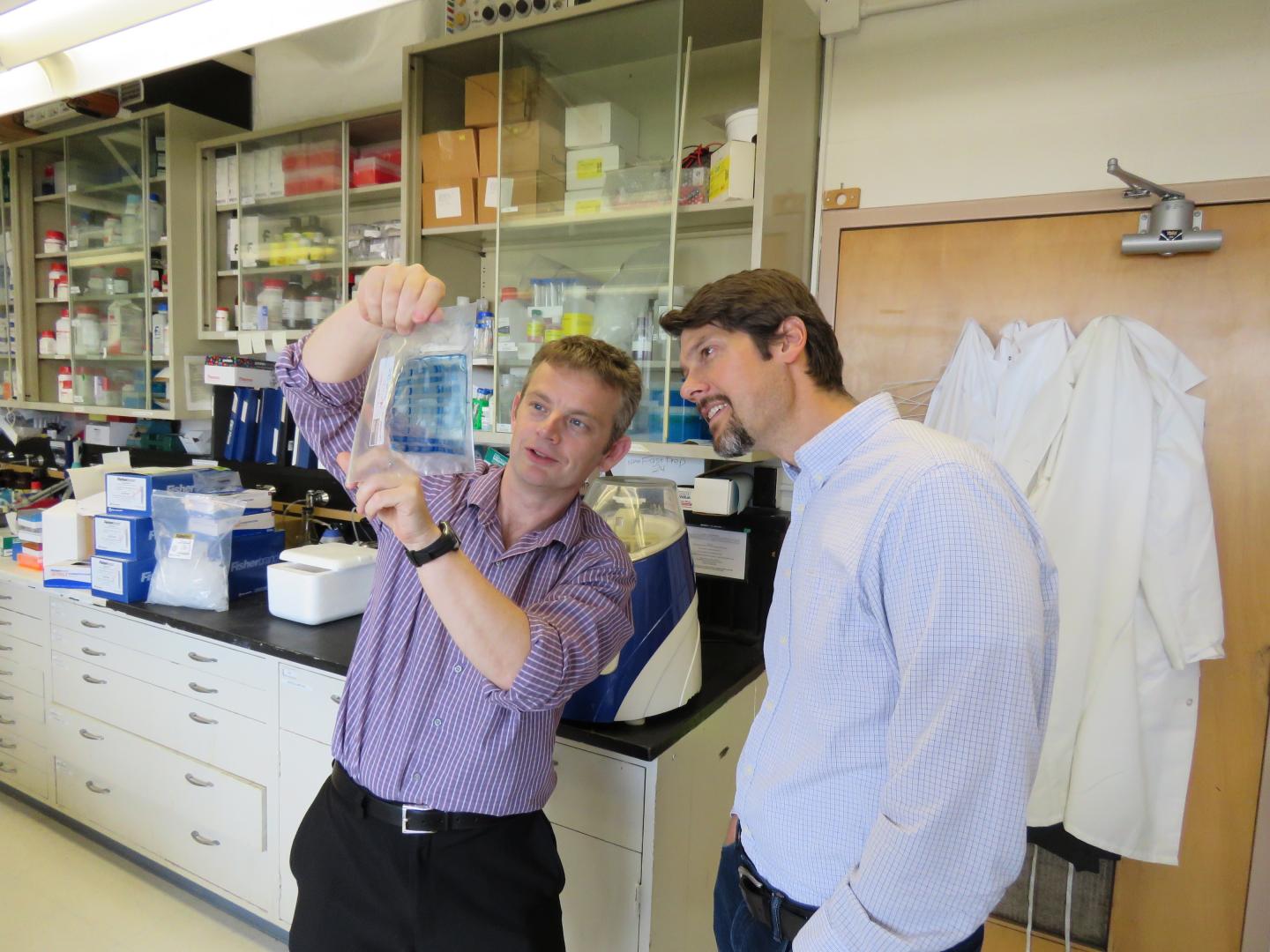 Jonathan Wenk and Kenneth Camp [IMAGE] | EurekAlert! Science News Releases