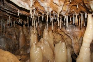 Stalagmites as climate archive | EurekAlert!
