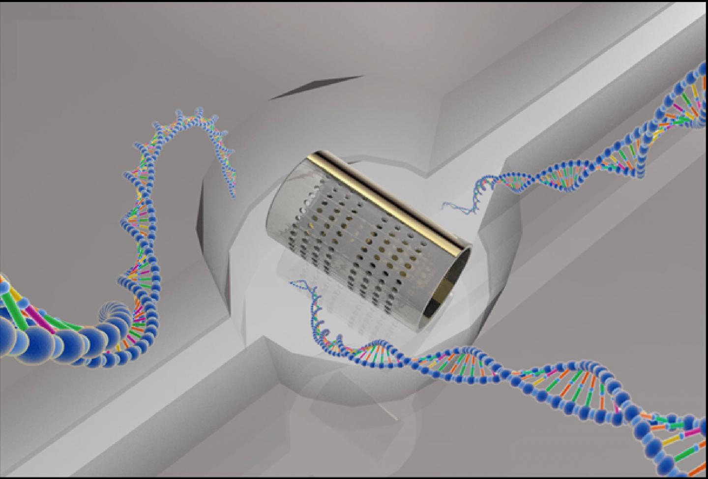 Microsensor 2 [IMAGE] | EurekAlert! Science News Releases