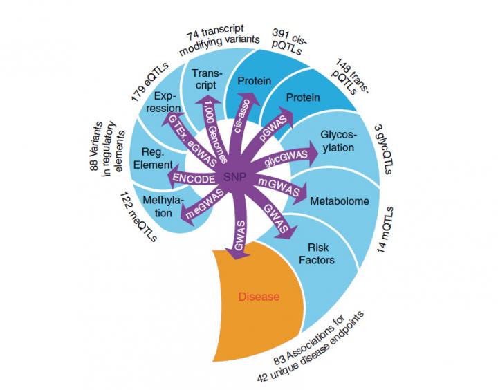 Molecular patterns of complex diseases | EurekAlert!