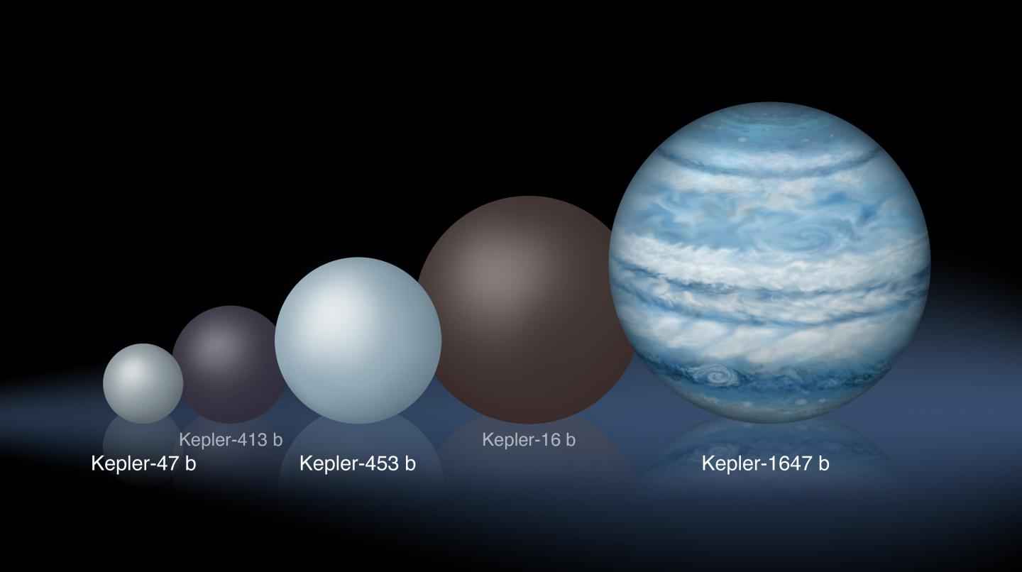 Kepler-1647 b Size Comparison [IMAGE] | EurekAlert! Science News Releases