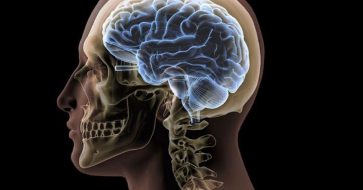 Math Brains [IMAGE] | EurekAlert! Science News Releases