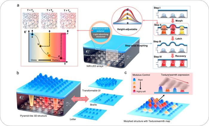 Tactile Display Structure and [IMAGE] | EurekAlert! Science News Releases