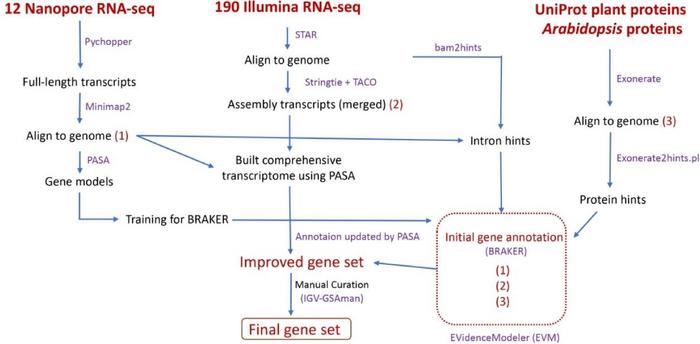 Fig.1 [IMAGE] | EurekAlert! Science News Releases