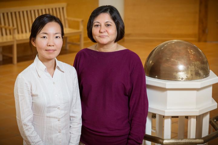 Madhu Khanna and Weiwei Wang, [IMAGE] | EurekAlert! Science News Releases
