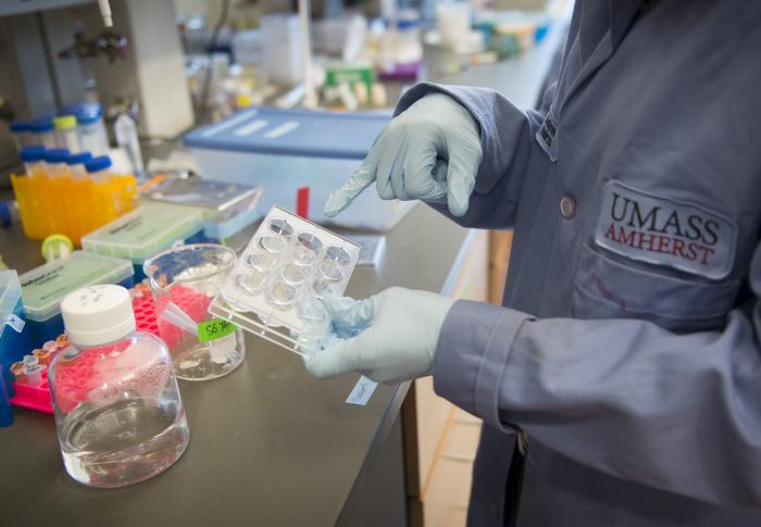 Peyton Lab [IMAGE] | EurekAlert! Science News Releases