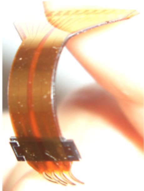 Flexible Probe [IMAGE] | EurekAlert! Science News Releases