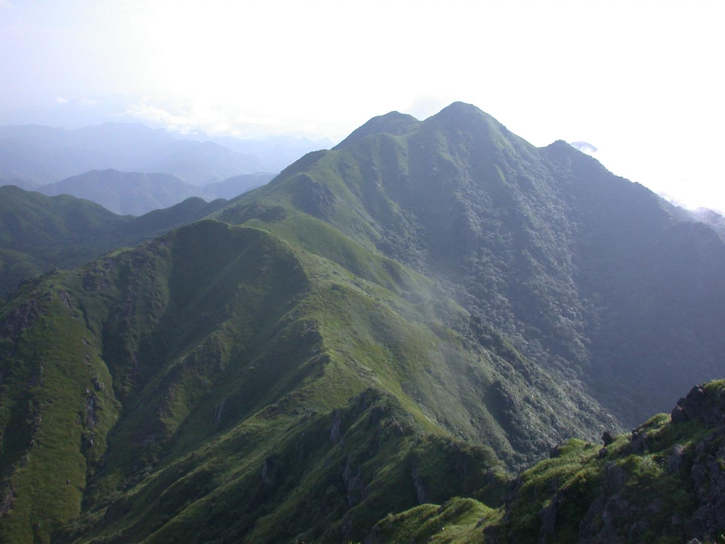 Global Map of Roadless Areas Reveals Roads Fr | EurekAlert!