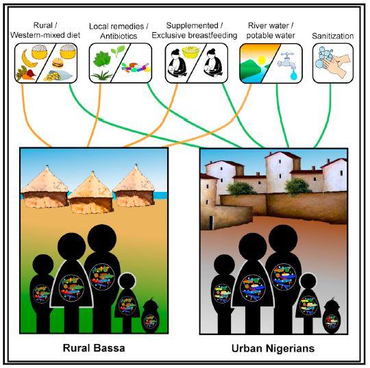 Microbiome differences between urban and rura | EurekAlert!