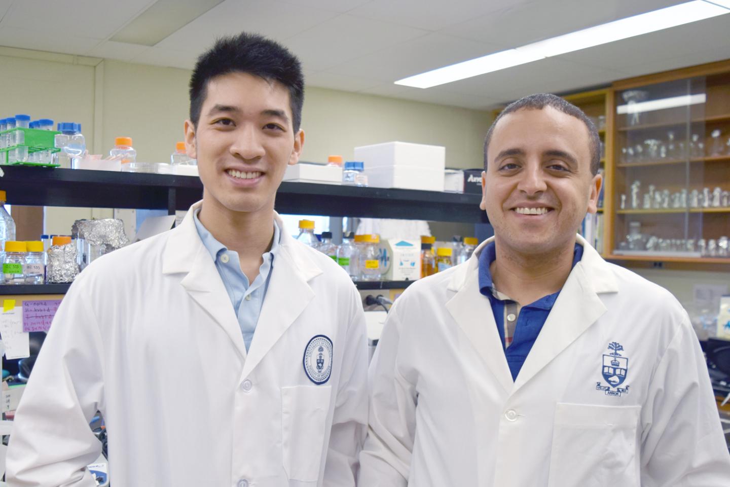 Daniel Chung and Karim Mekhail [IMAGE] | EurekAlert! Science News Releases