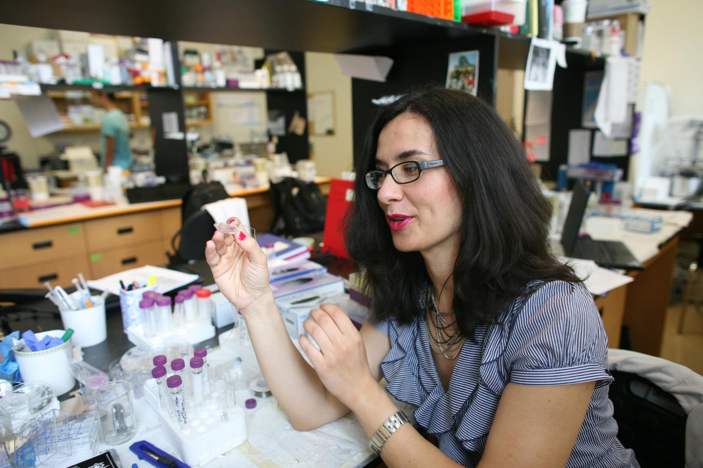 Milica Radisic, University of [IMAGE] | EurekAlert! Science News Releases