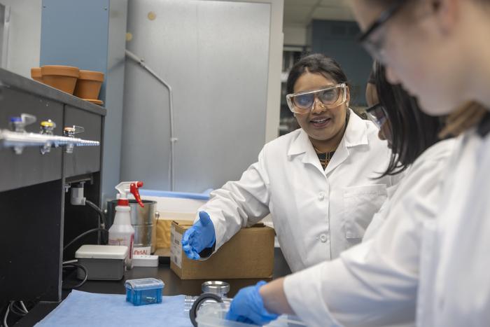 K 2 [IMAGE] | EurekAlert! Science News Releases