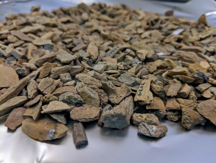 Bone Fragments [IMAGE] | EurekAlert! Science News Releases