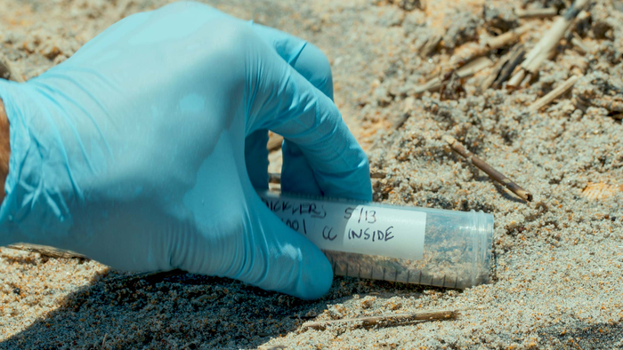 Collecting Samples [IMAGE] | EurekAlert! Science News Releases