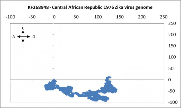 Zika Virus Genome in Central A [IMAGE] | EurekAlert! Science News Releases