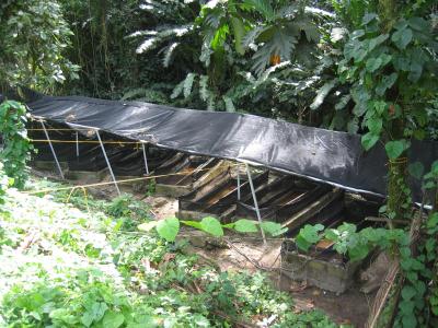 Replicate Artificial Streams [IMAGE] | EurekAlert! Science News Releases